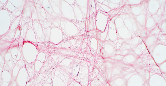 TrackCore Inc. Awarded Contract by Vizient for an Industry Leading ...