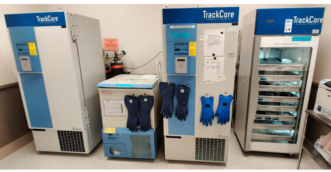 Making Milestones in Healthcare - Terso